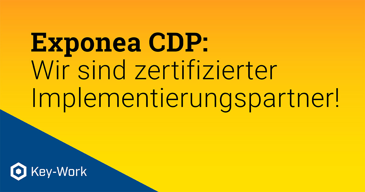 Wie finde ich den richtigen Exponea Partner?